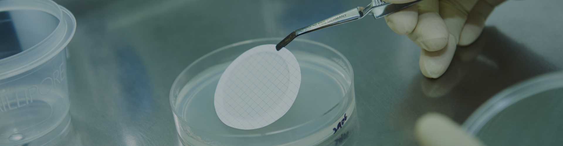 Microbiological Testing - Biochem Laboratories Sdn Bhd Microbiological Testing - Biochem Laboratories Sdn Bhd
